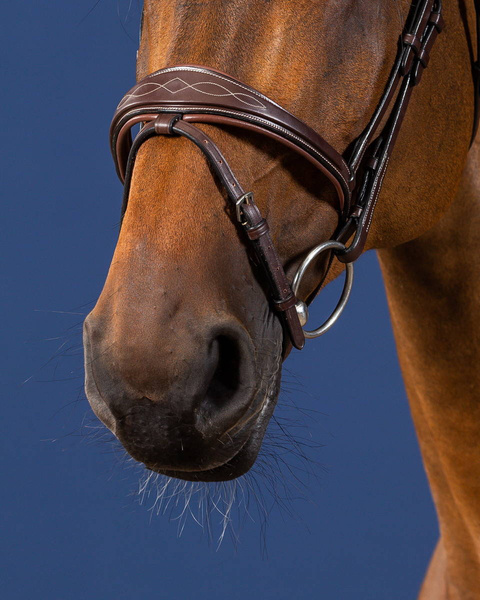 Anatomiczny nachrapnik angielski Dy'on US Jumping Brąz | Koń \ Ogłowia ...