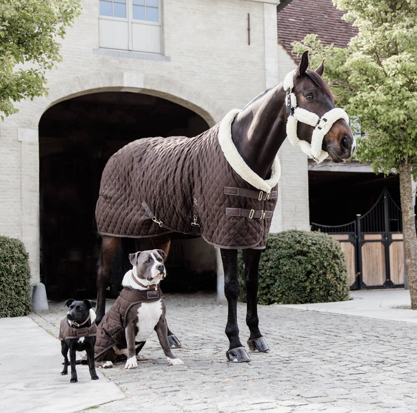 Kentucky derka dla psa Original - brązowa Brąz | Koń \ Derki \ Derki ...