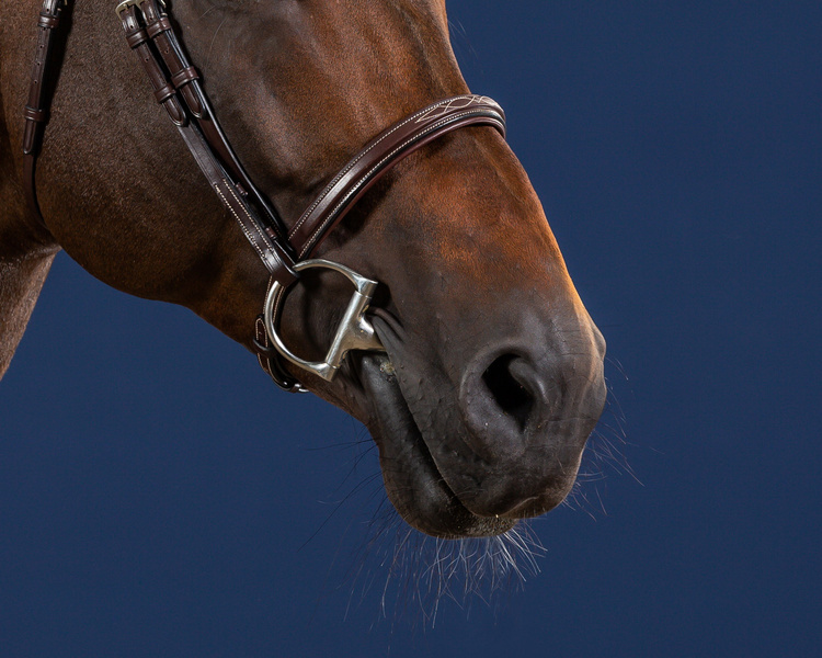 Nachrapnik Dy'on Cavesson US Hunter Brąz | Koń \ Ogłowia i akcesoria do ...